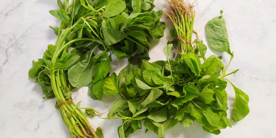 Manfaat Daun Bayam untuk Kesehatan dan Kecantikan - Yoona