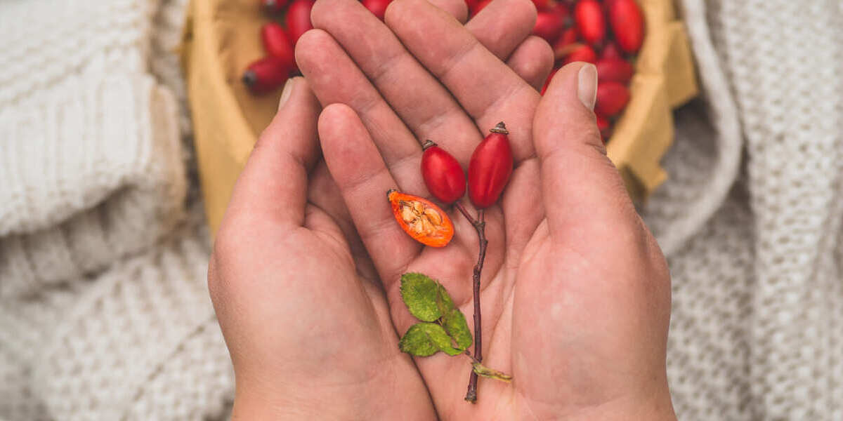 6 Manfaat Goji Berry yang Bagus untuk Kesehatan
