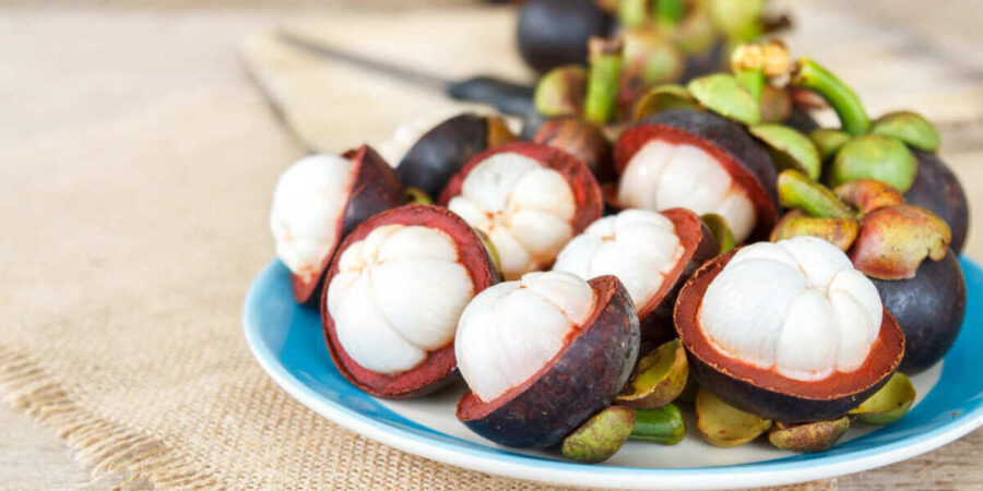 6 Manfaat Buah Manggis untuk Ibu Hamil - Yoona