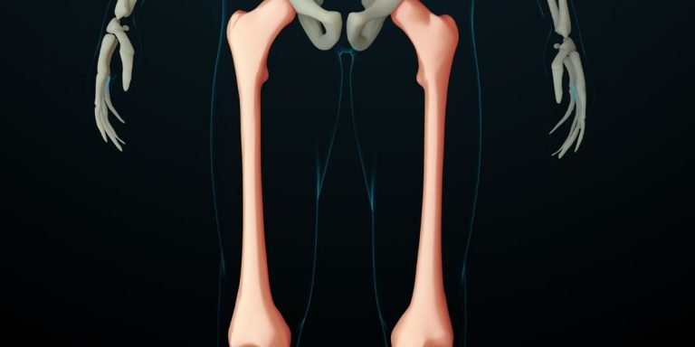 Bagaimana Bentuk Tulang Paha Sebenarnya? Yuk Cari Tahu! - Yoona