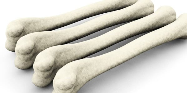 Bagaimana Bentuk Tulang Paha Sebenarnya? Yuk Cari Tahu! - Yoona