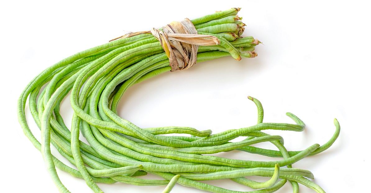 Ladies, Manfaat Kacang Panjang Bagus untuk Reproduksi Wanita