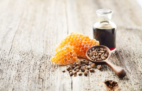 Alami dari Lebah; Ini Manfaat Propolis untuk Kesehatan - Yoona