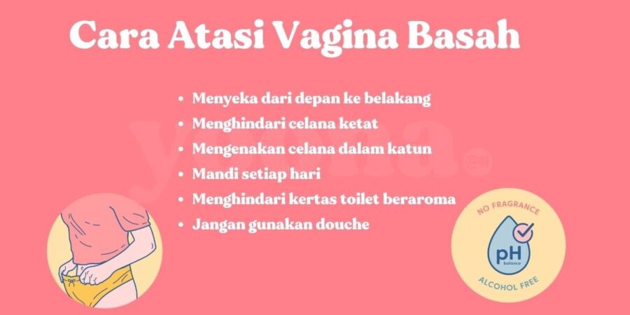 Vagina Basah, Apa Penyebab dan Cara Mengatasinya? - Yoona