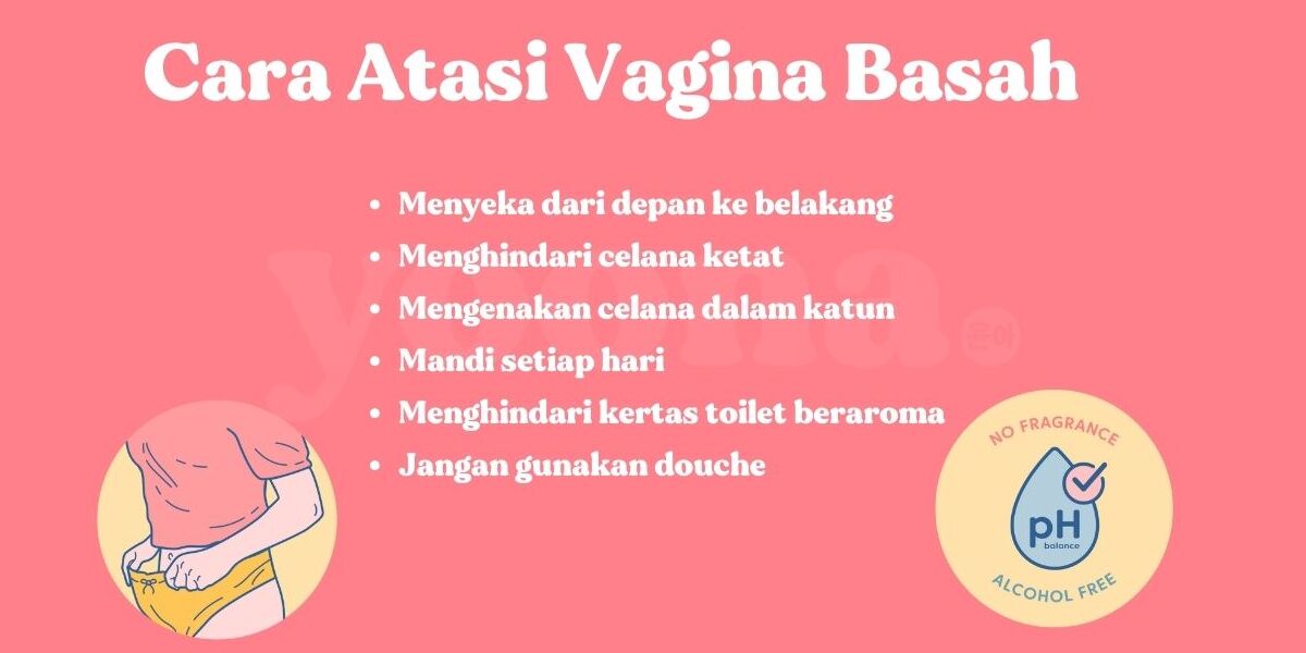 Vagina Basah, Apa Penyebab dan Cara Mengatasinya? - Yoona