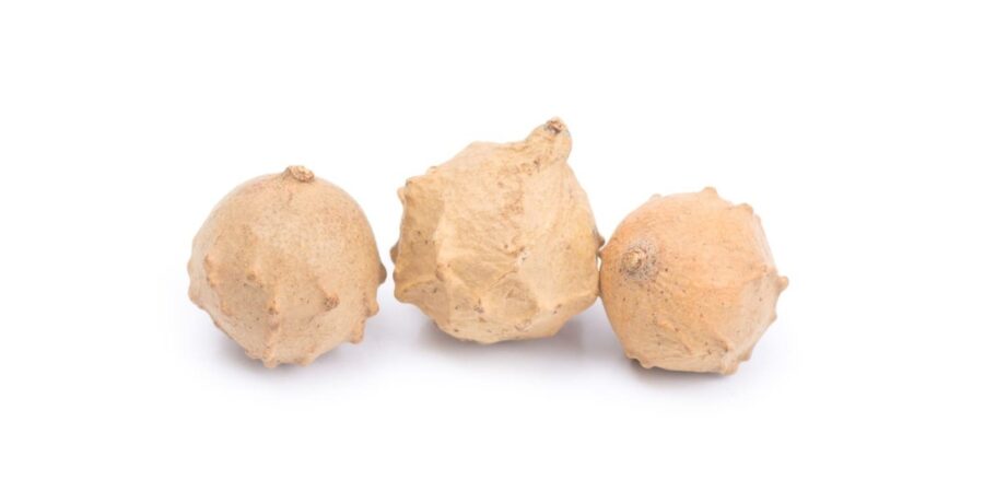 Amankah Minum Manjakani Saat Haid? Simak Fakta Manfaatnya! - Yoona