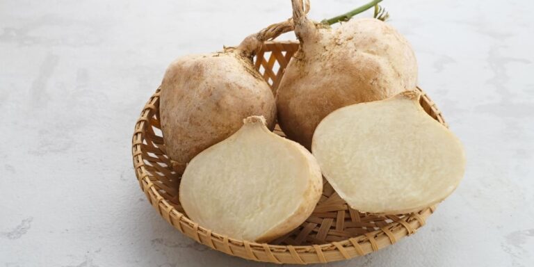 Segini Kalori Bengkoang dengan Manfaat Untuk Kesehatan! - Yoona