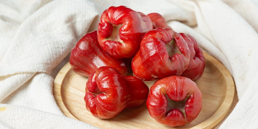 Kaya Akan Nutrisi, Ternyata Segini Kalori Jambu Air! Kaya Akan Nutrisi, Ternyata Segini Kalori Jambu Air!