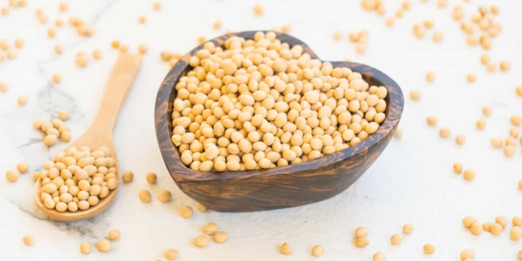 Manfaat Kacang Kedelai untuk Promil agar Cepat Hamil - Yoona