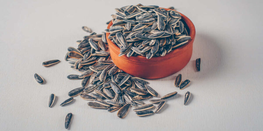 6 Fakta Manfaat Kuaci Untuk Promil - Yoona