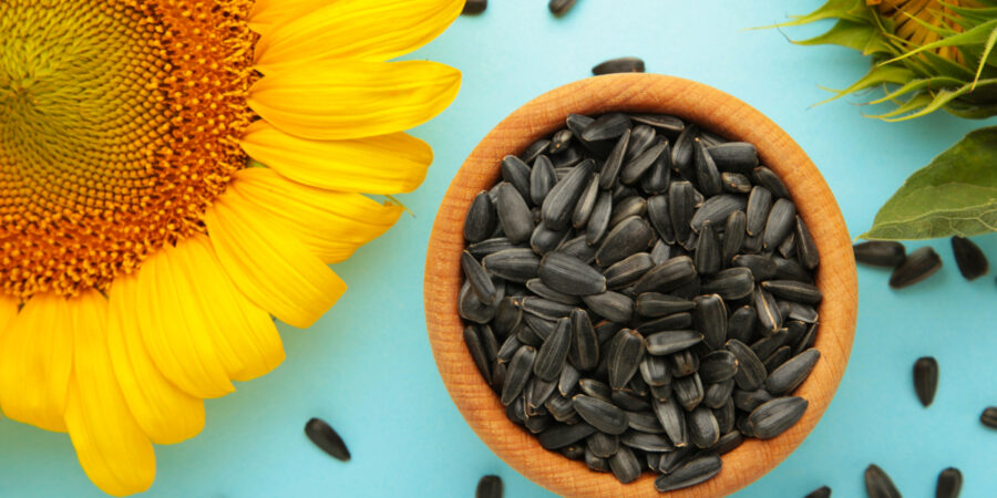 5 Manfaat Kuaci untuk Ibu Hamil, Sudah Tahu? - Yoona